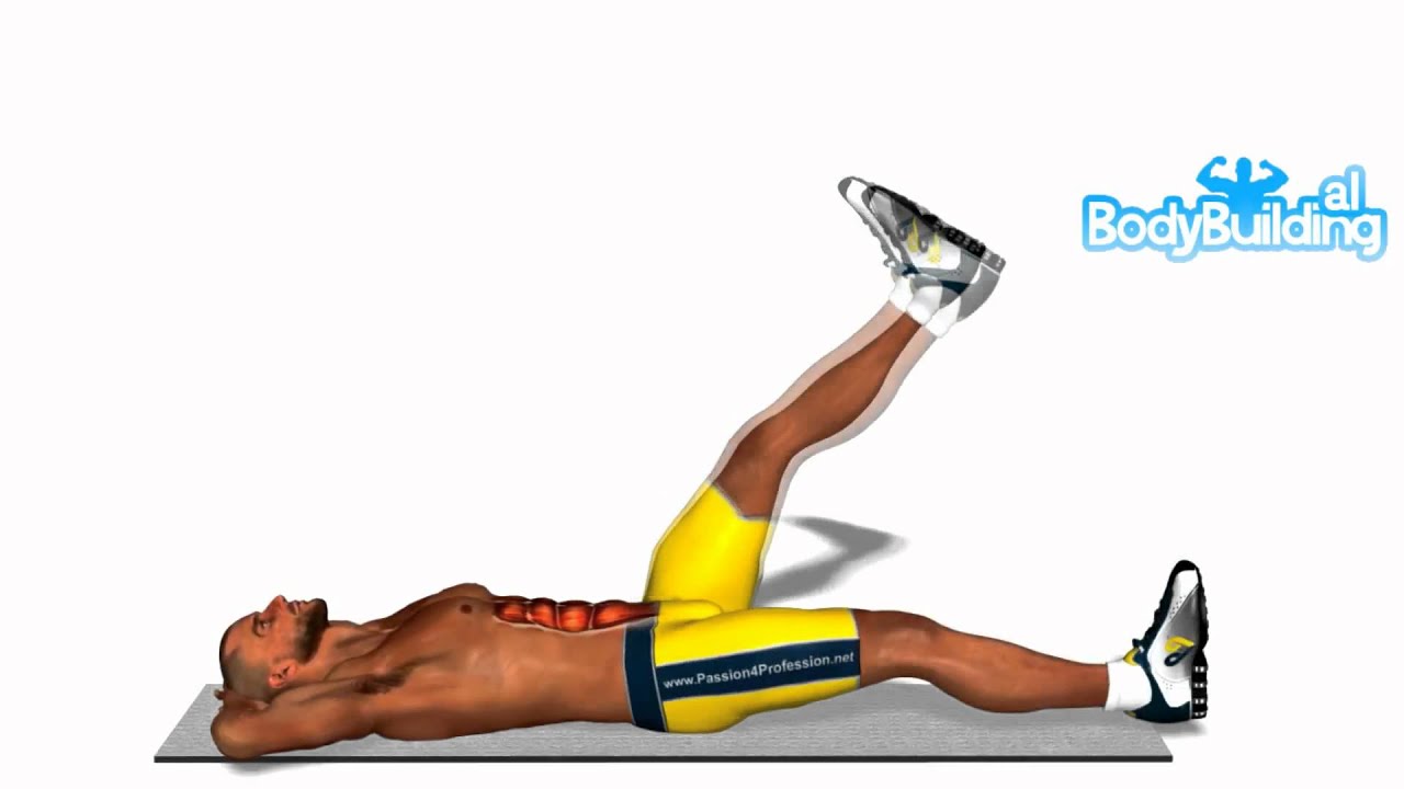 Muskuj Barku Stërvitje - Bodybuilding.al - YouTube