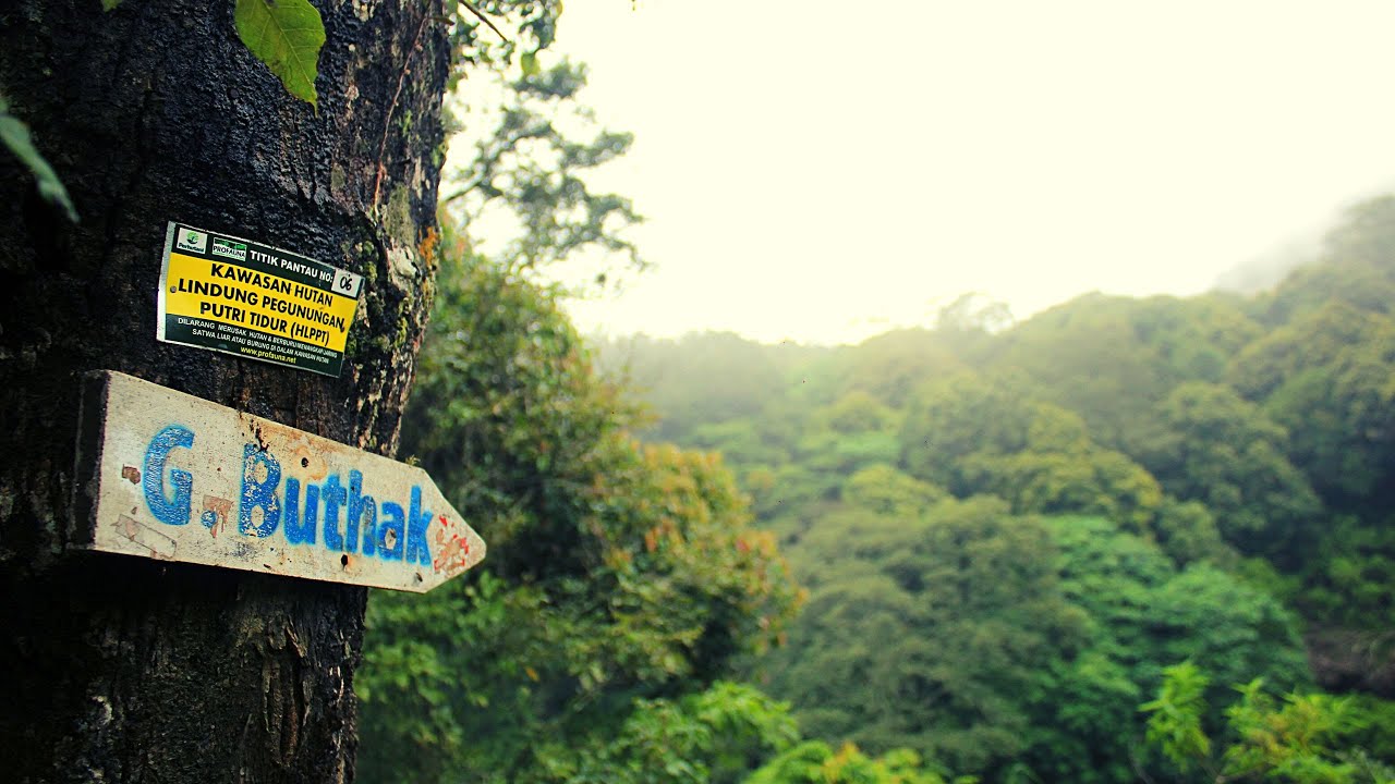 TREK PANJANG 14 KM MENUJU PUNCAK GUNUNG BUTHAK_PANDERMAN BATU_SUASANA ...