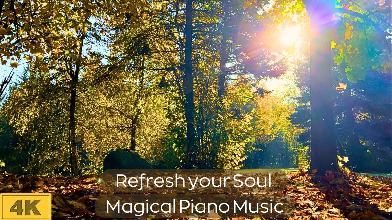 Feel Deep Relaxation & inner Peace in 30 Minutes | 4K Beautiful Autumn ...