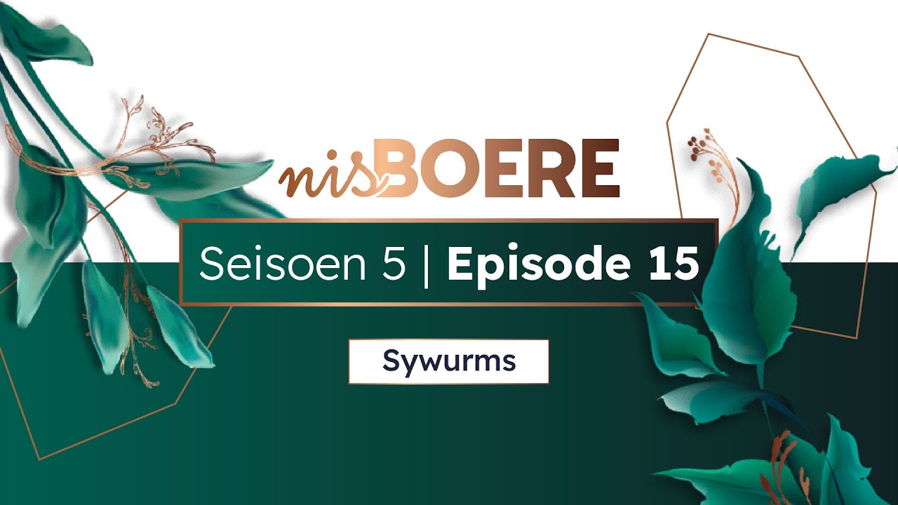 nisBOERE 5 | Episode 15 | Sywurms - YouTube