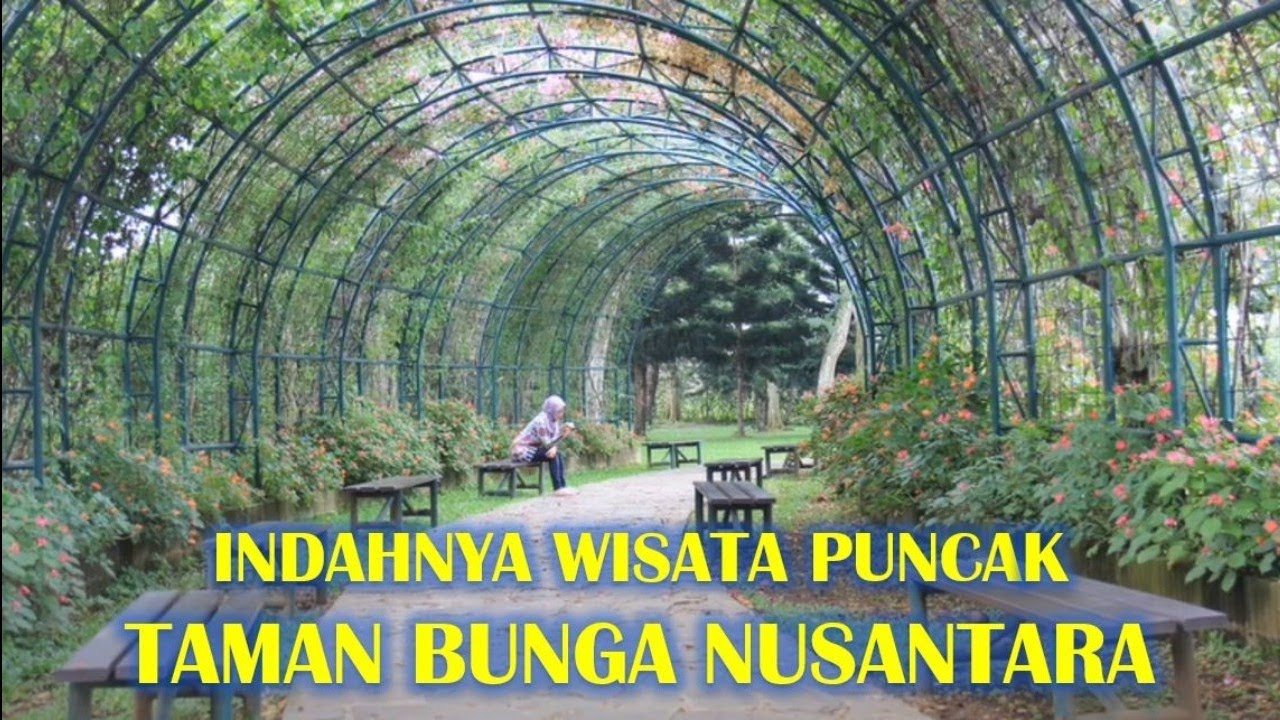 Indahnya Pemandangan di Taman Bunga Nusantara di Puncak, Cipanas ...