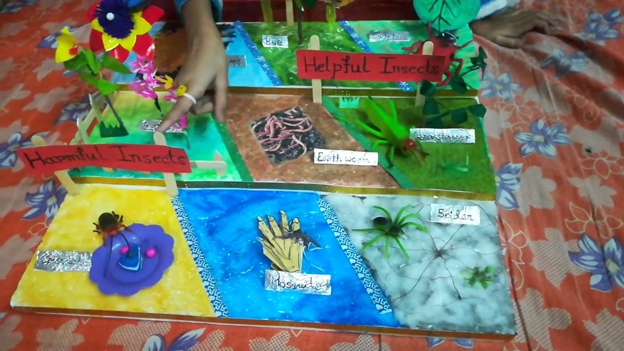 Insects Science projects - YouTube
