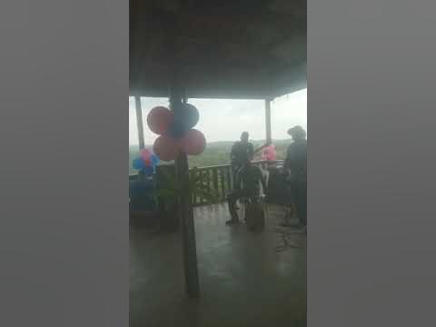 cumbia regional : el gato corobo - YouTube