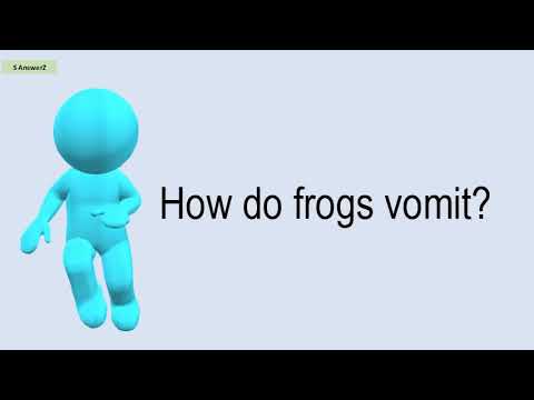 How Do Frogs Vomit? - YouTube