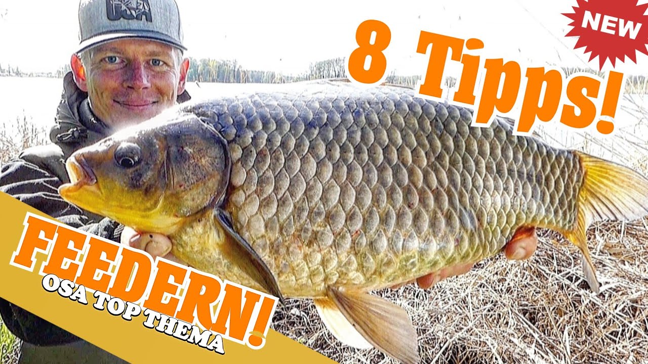 FETTE Fische beim FEEDERN! 8 Tipps zum Erfolg! Mission Angeln - YouTube