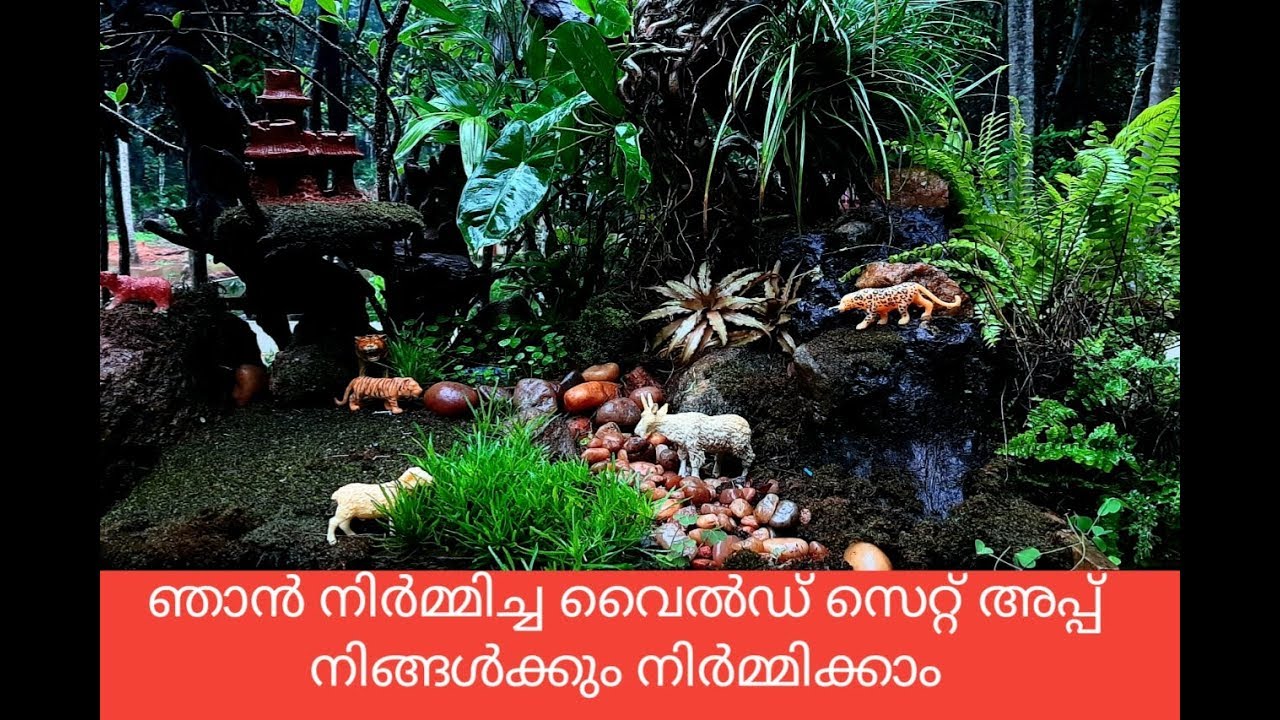 wild miniature forest set up on tyle - YouTube