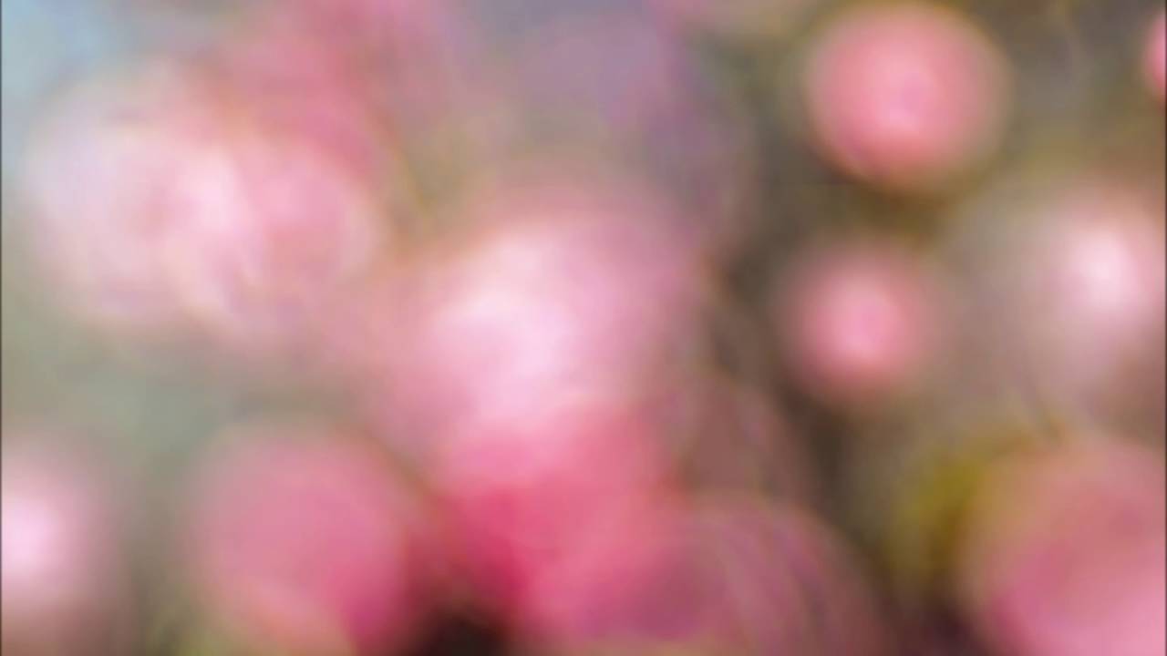 Guided Meditation with Athena, Ascended Master - YouTube