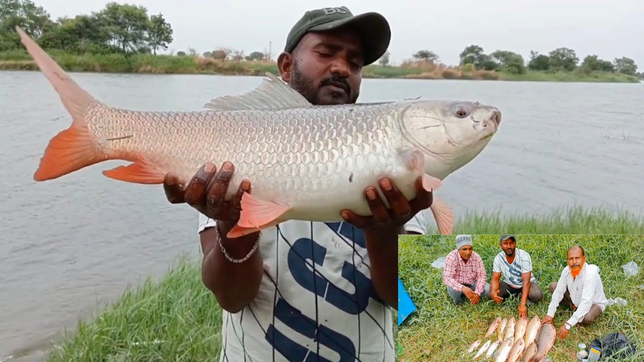 Fish Catching Video | Big Carp Fishing | Unbelievable Fishess Catching ...