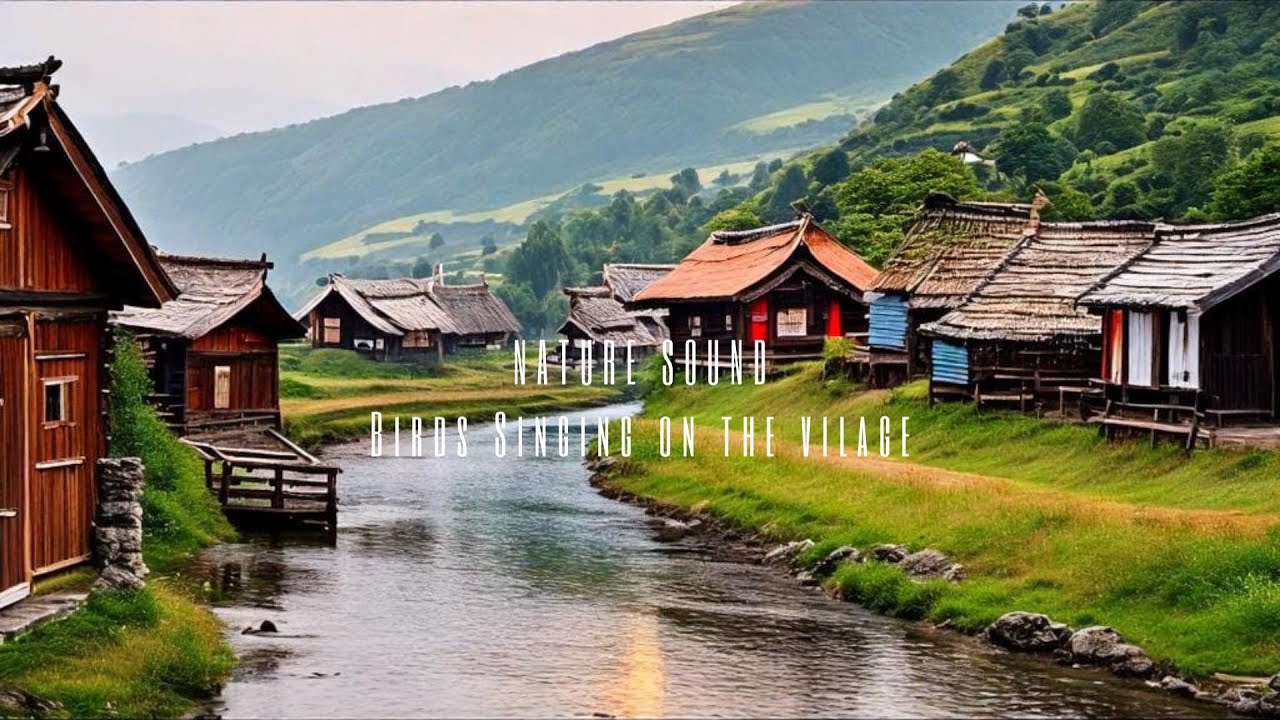 Nature sound bird singing in the vilage - relaxing for sleep - ASMR ...
