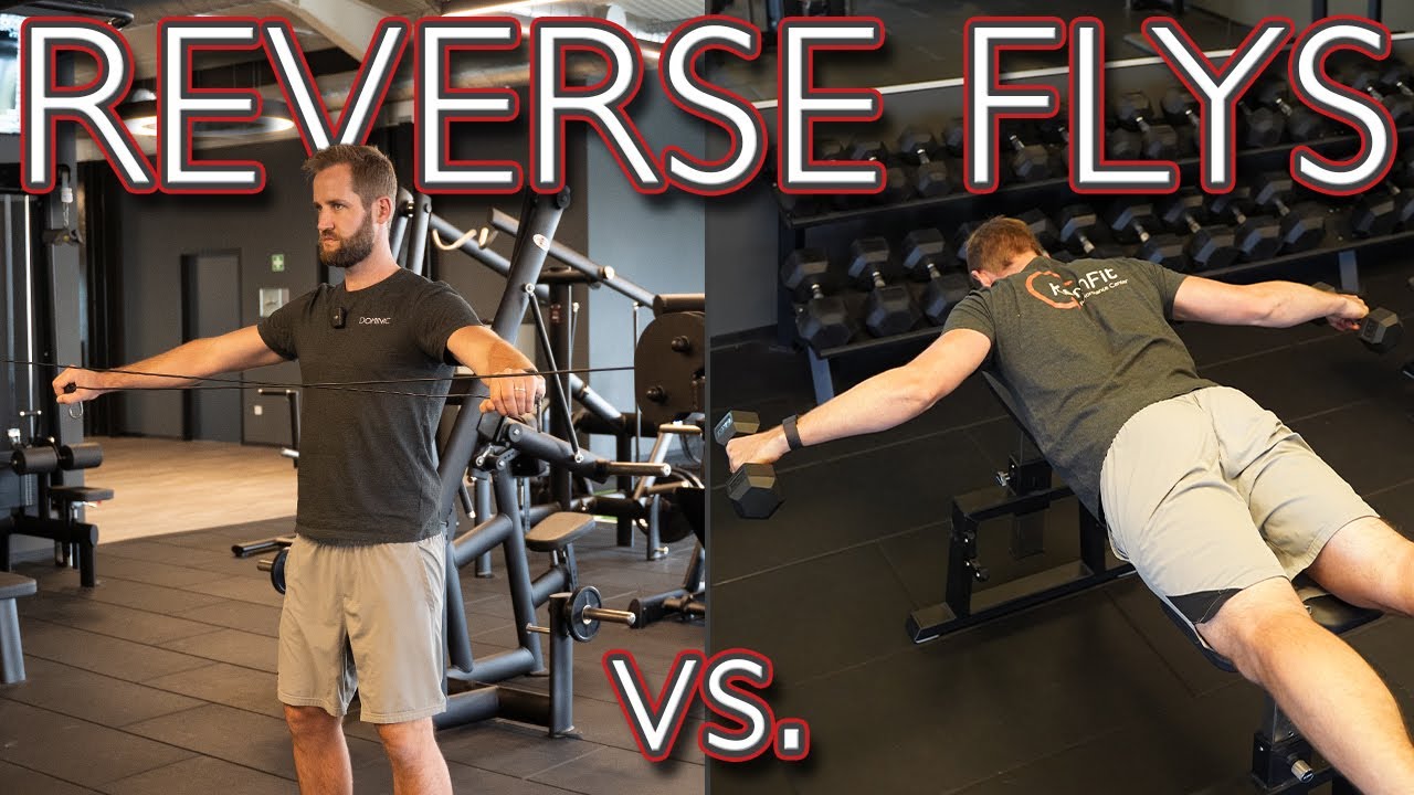 Reverse Flys - Varianten & richtige Ausführung | Tutorial | Kernfit ...