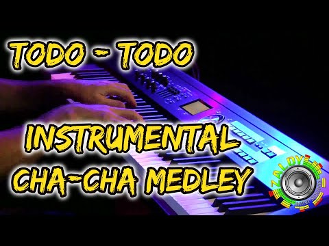 BEST TODO - TODO INSTRUMENTAL CHA - CHA - ONE MAN BAND