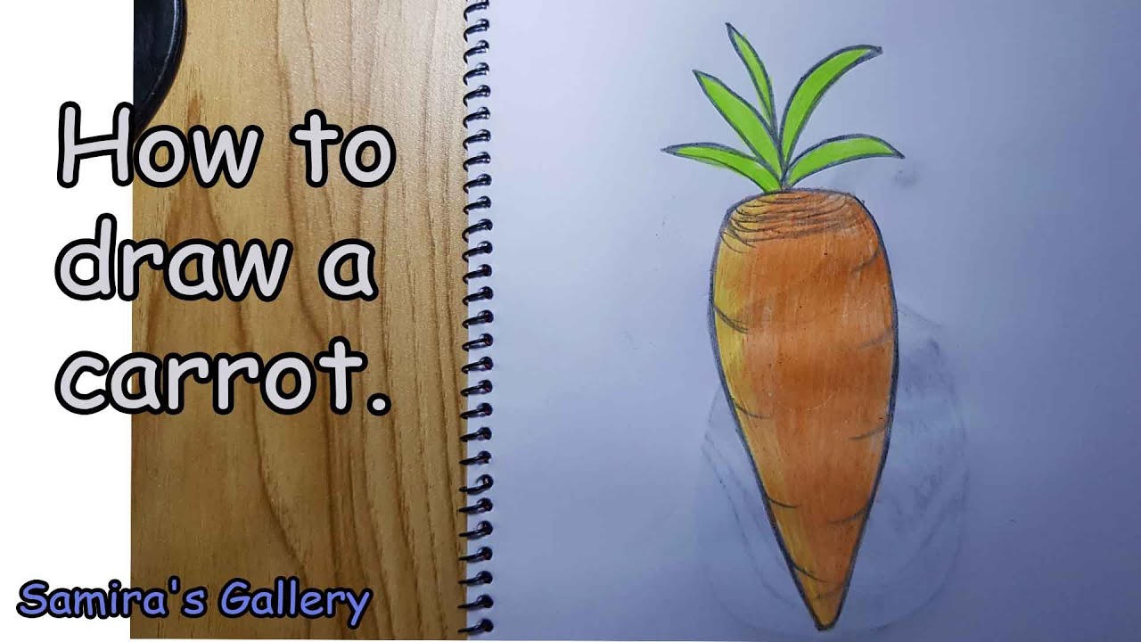 How to draw a carrot from v / simple and easy carrot drawing and ...