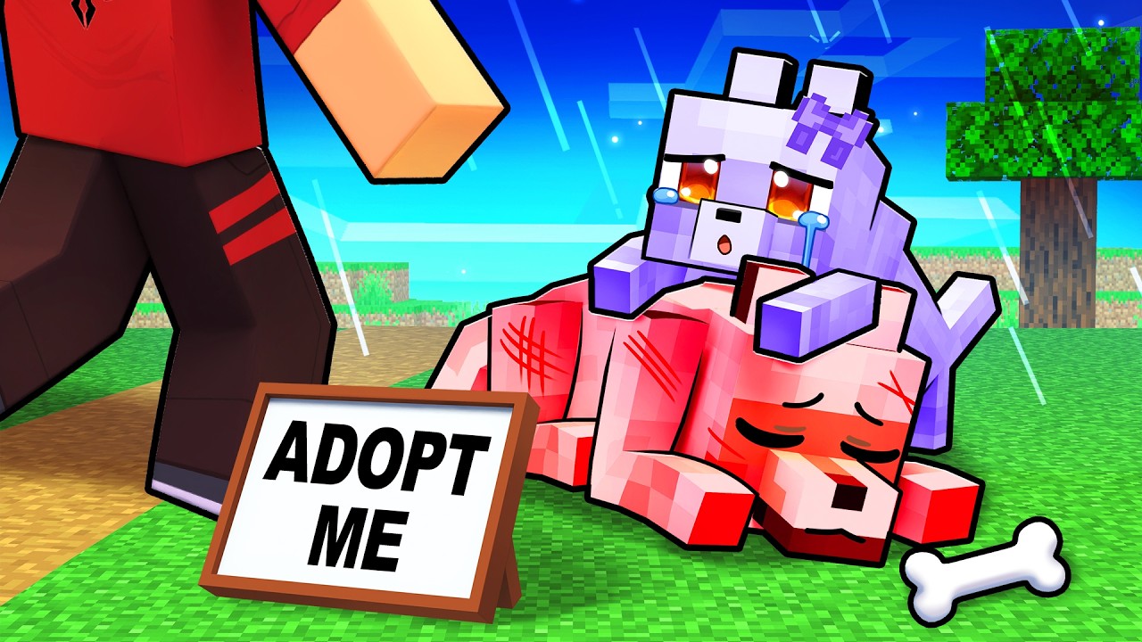 We ADOPTED a SAD WOLF in Minecraft! - YouTube