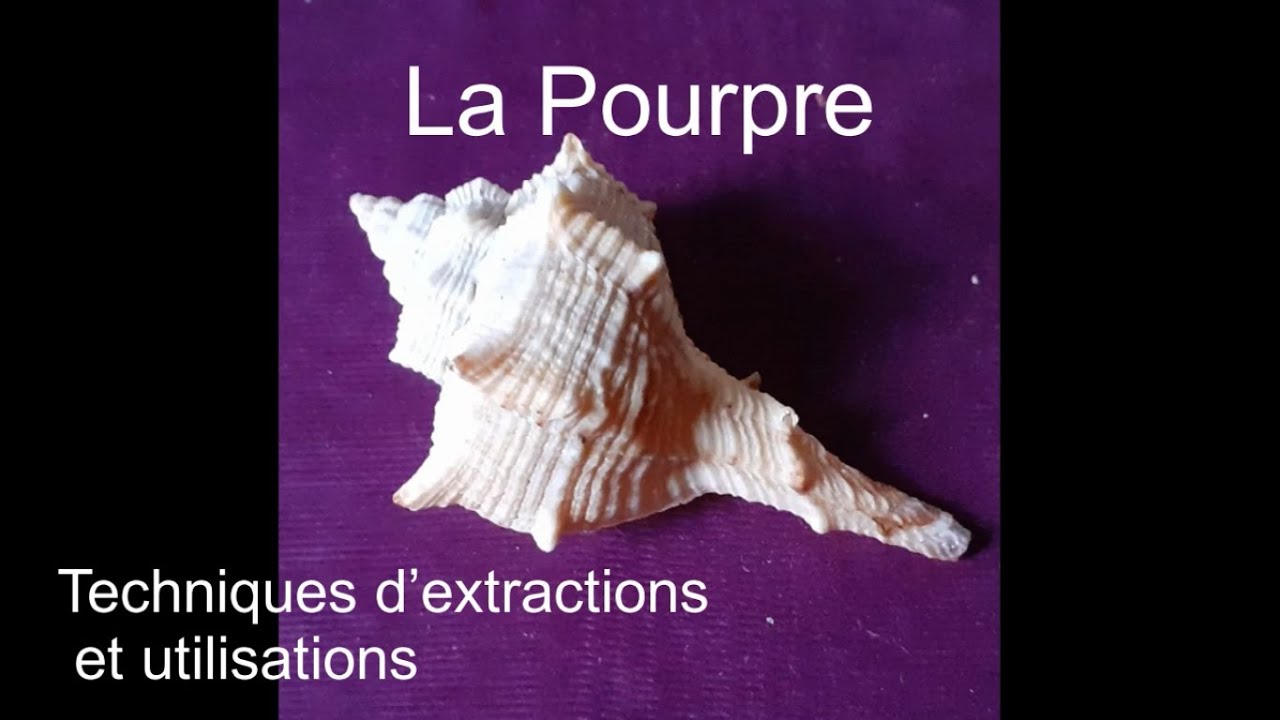 La Pourpre - YouTube