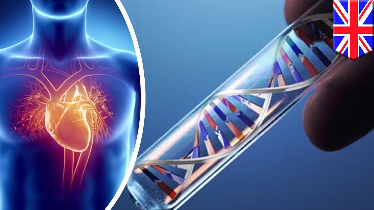 Genes For Rare Fatal Heart Disease Identified TomoNews YouTube Genes For Rare Fatal Heart Disease Identified TomoNews YouTube