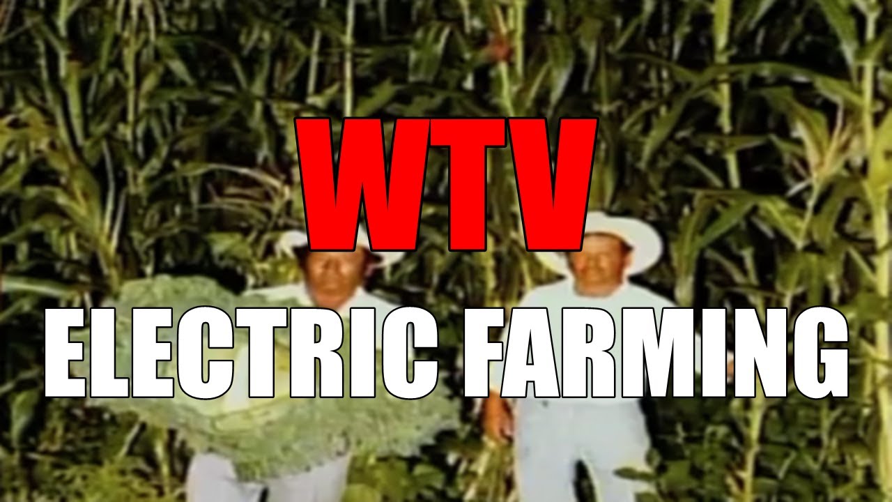What You Need To Know About ELECTRO-CULTURE FARMING - YouTube