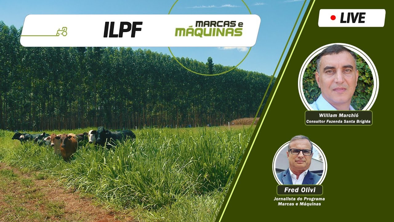 Entrevista com William Marchió - Consultor Fazenda Santa Brígida - YouTube