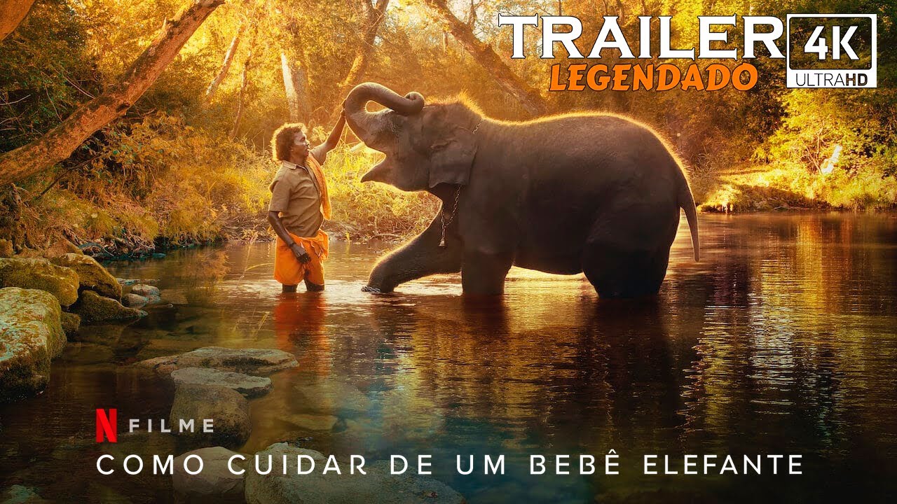 Como Cuidar de um Bebê Elefante (2022) | Trailer 4k Legendado (Vencedor ...