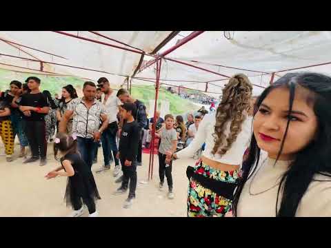 Yok böyle kapışma Afyon Dinar roman düğünleri