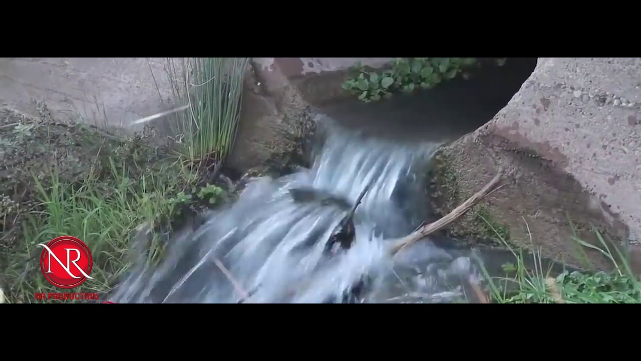 Nîdal Rojava - Serê Sibeh [Official Music] - YouTube