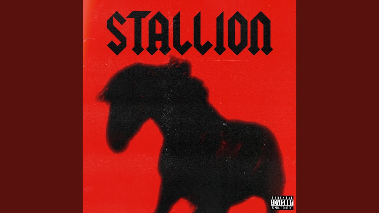 Stallion YouTube stallion-youtube