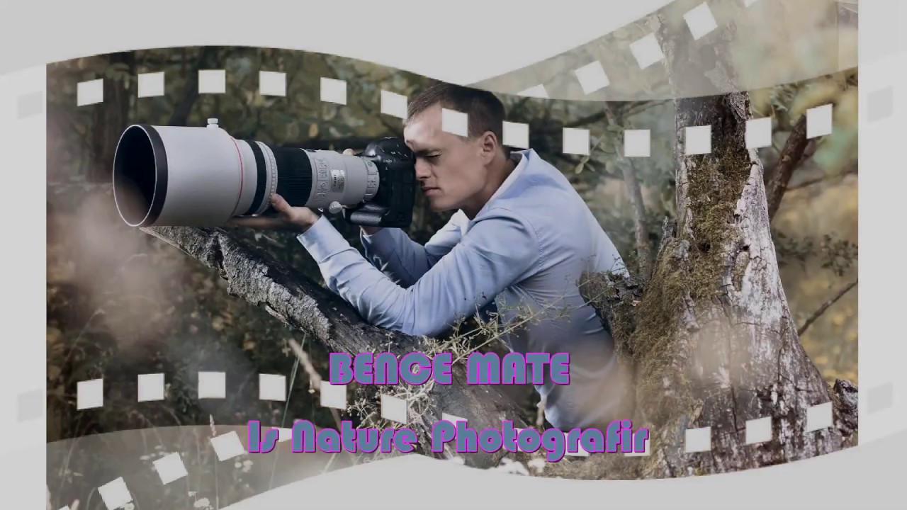 Bence Mate 2017 The Nature Photographer - YouTube