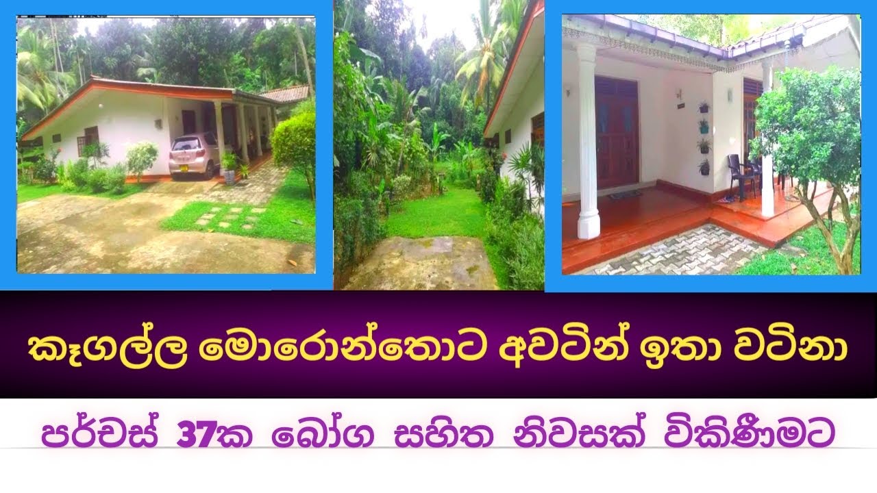 කෑගල්ල Moronthota අවටින් බෝග සහිත පර්චස් 37ක නිවසක් House For Sale In
