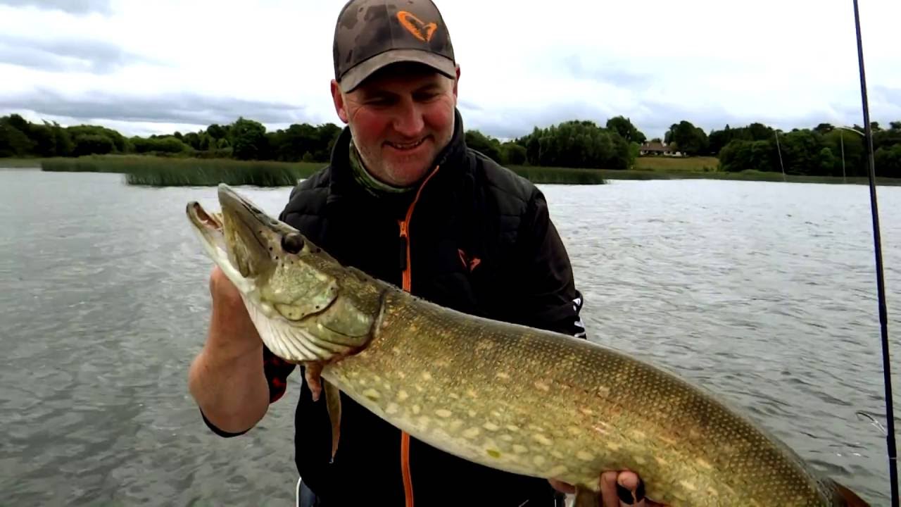 Catching Pike on Savage Gear 3D line-through Roach with Irish Fishing ...