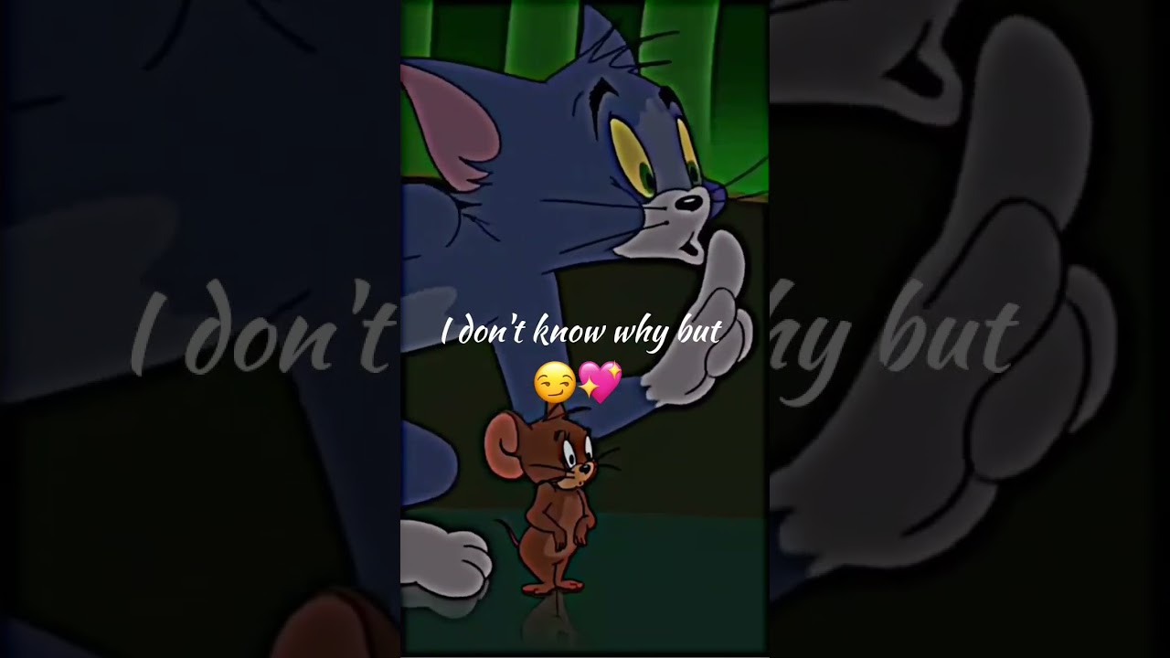 Ve Tom and Jerry da Tera mera ye rishta ️😘 ️ - YouTube