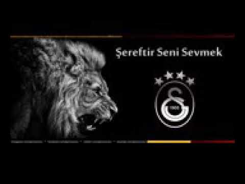 Şereftir seni sevmek