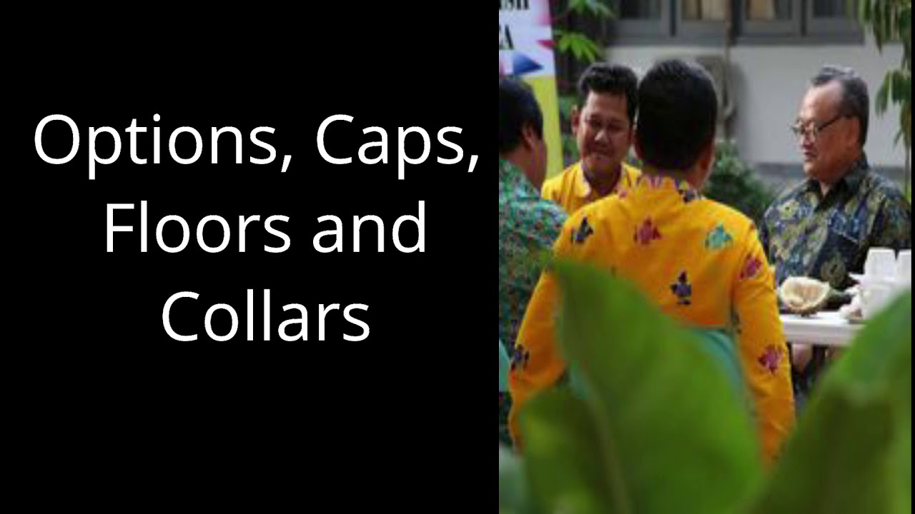 Saunders Ch #24: Options, Caps, Floors and Collars - YouTube