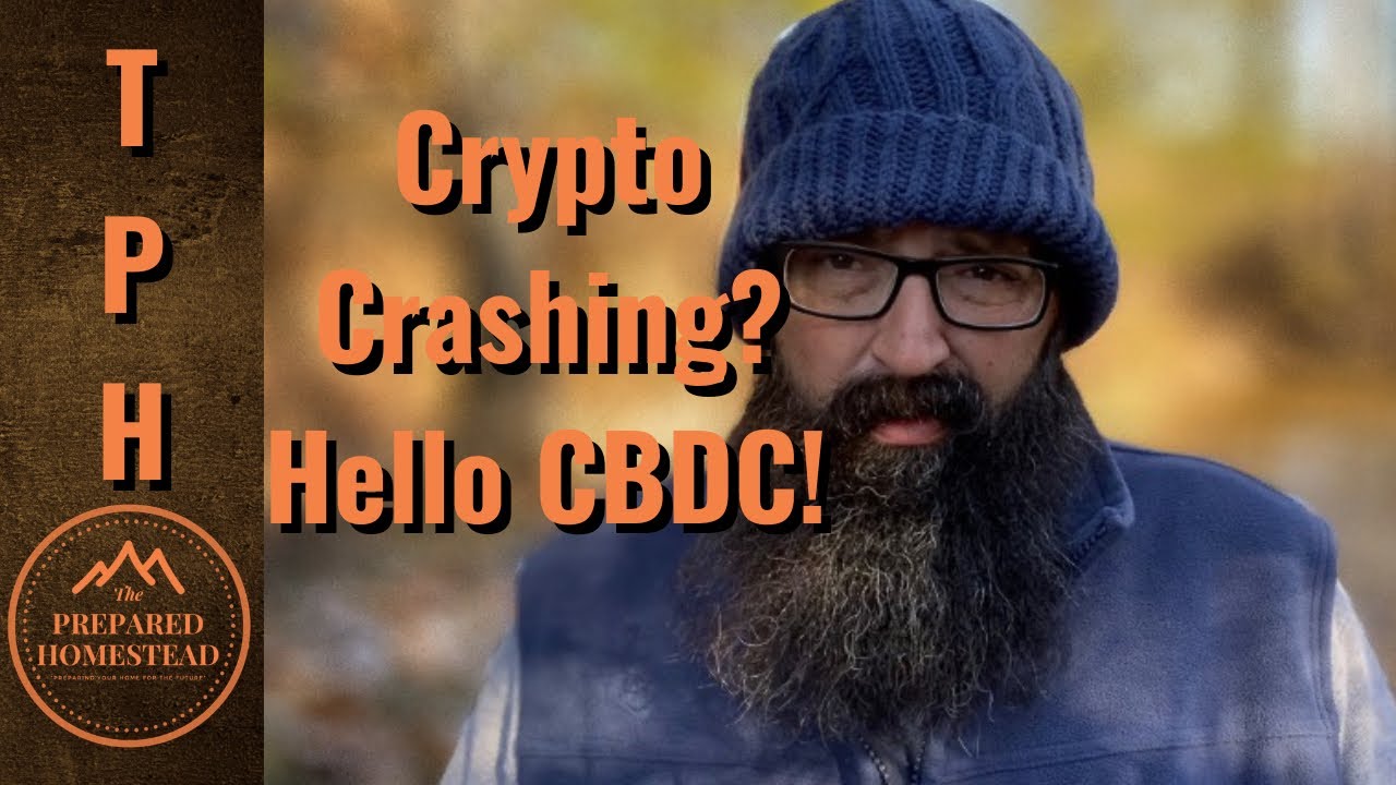 Crypto Crashing? Hello CBDC! - YouTube