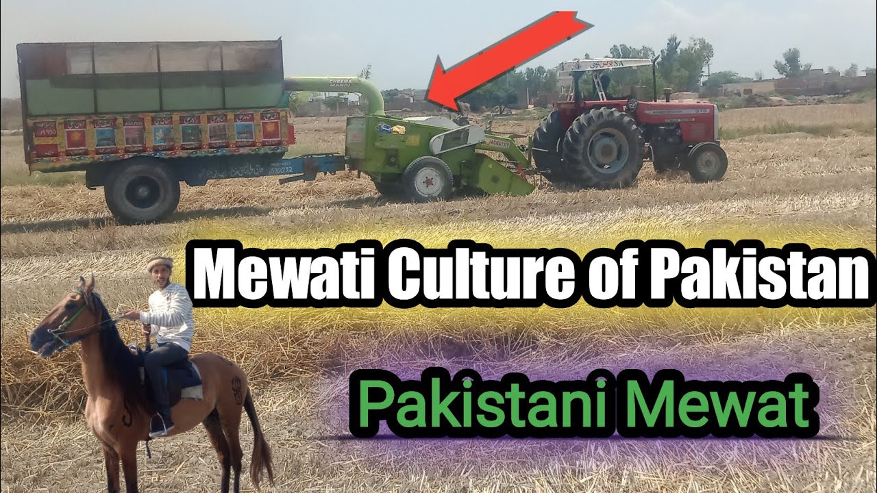 Mewati Culture of Pakistan | Kasur Mewat | Pakistani Mewat | Meo ...