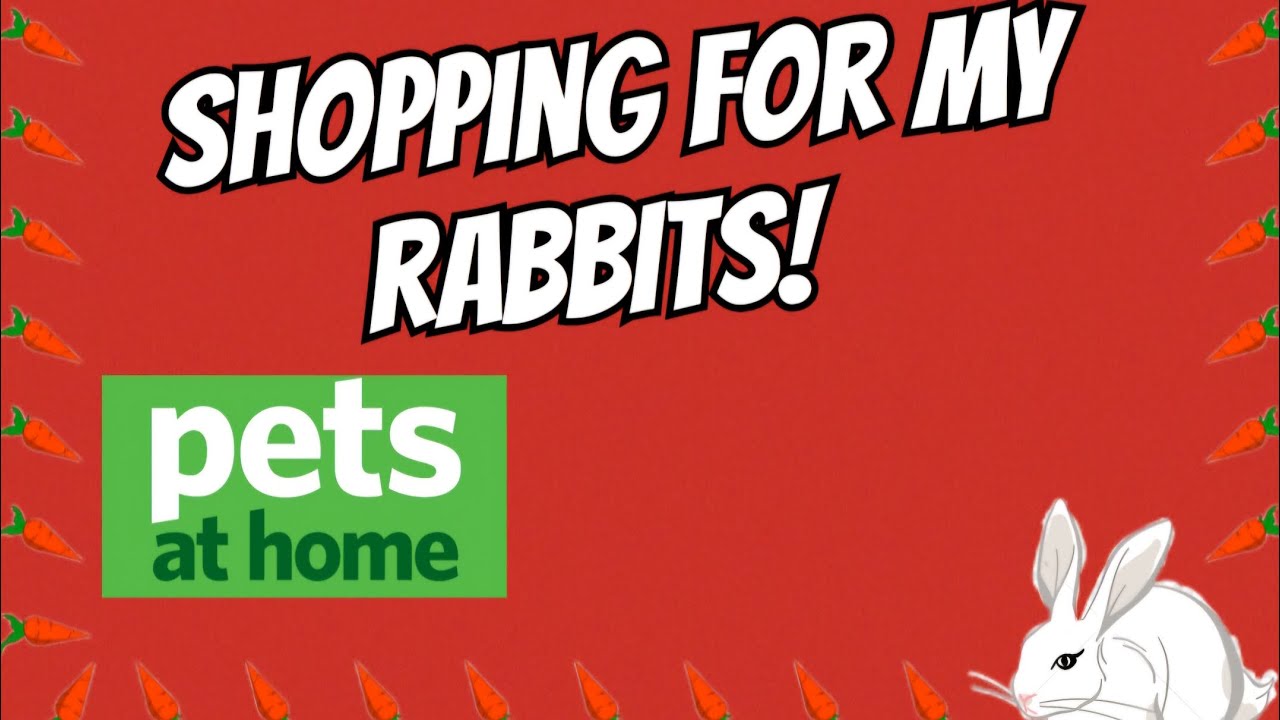 Shopping for my rabbits! (my first rabbit vlog!) - YouTube