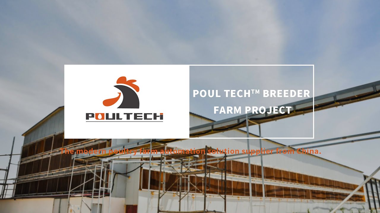 POUL TECH™ Breeder Poultry Farm Project with Automatic Battery Chicken ...