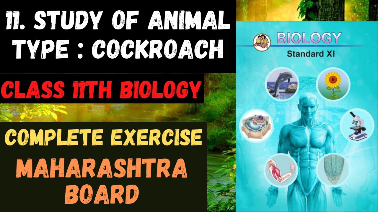 11. Study of Animal Type :Cockroach | Biology Exercise 11th Science ...