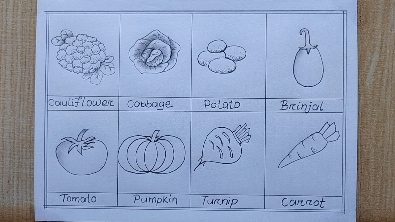 8 Different types of Vegetables drawing easy| How to draw different ...