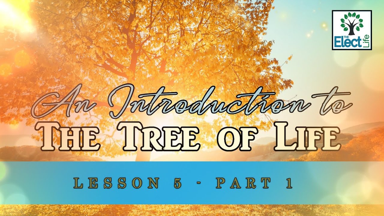 The Tree of Life: Lesson 5 - Part 1 Chochmah - YouTube