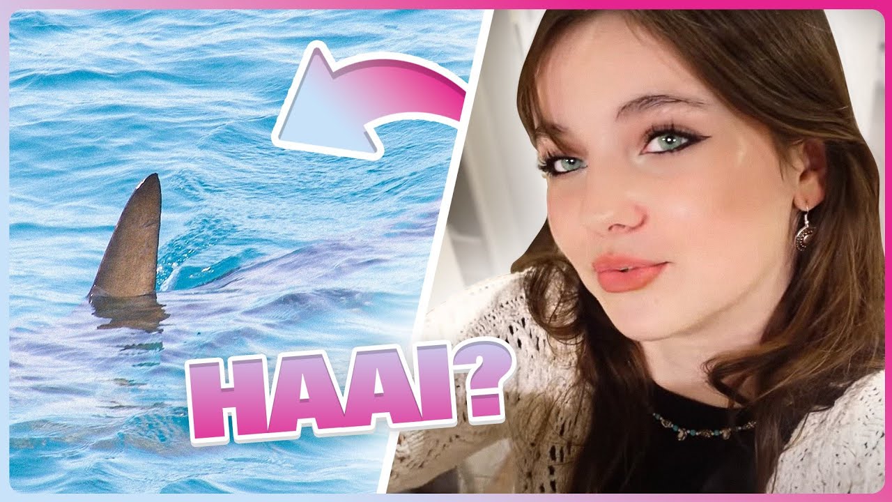 HAAIEN IN KROATIE!? & HUILEN OM ZWERFKATJES - BIBI WEEKVLOG - YouTube