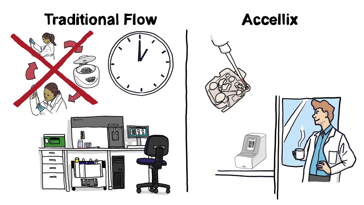 Accellix vs Traditional Flow Cytometry - YouTube