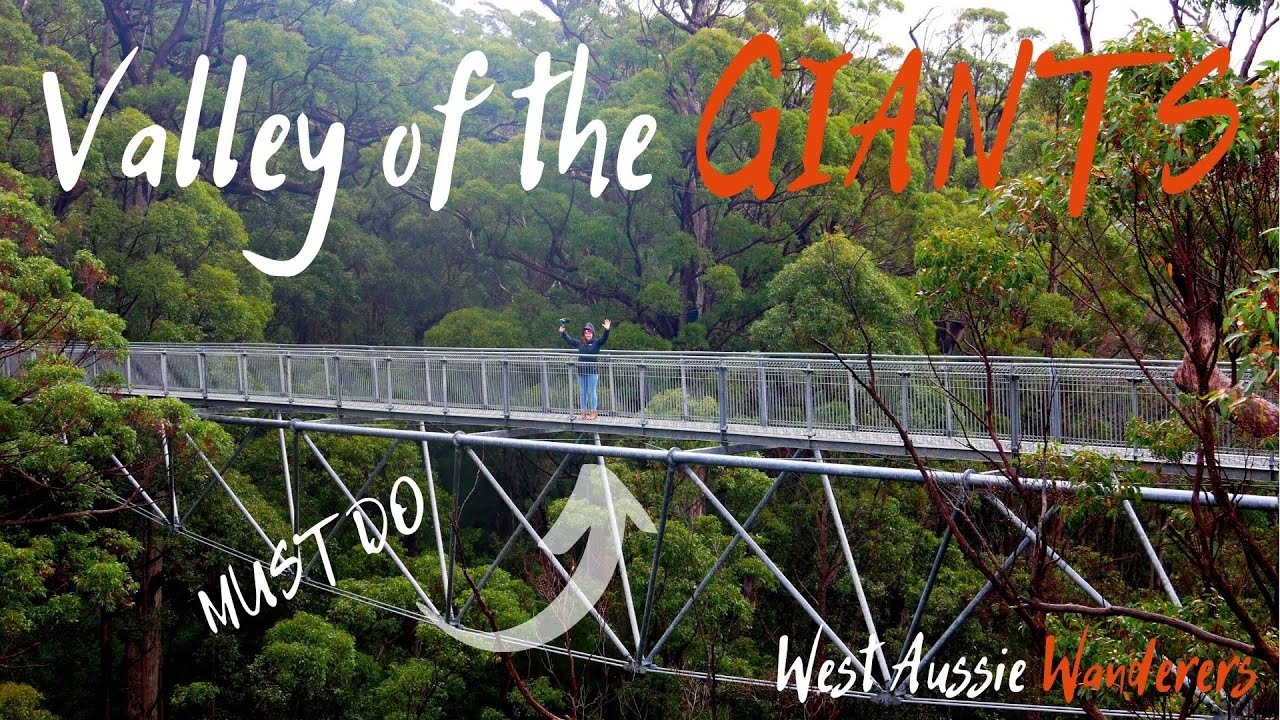 Valley of the Giants Tree Top Walk WA | Albany Series | Ep 3 - YouTube