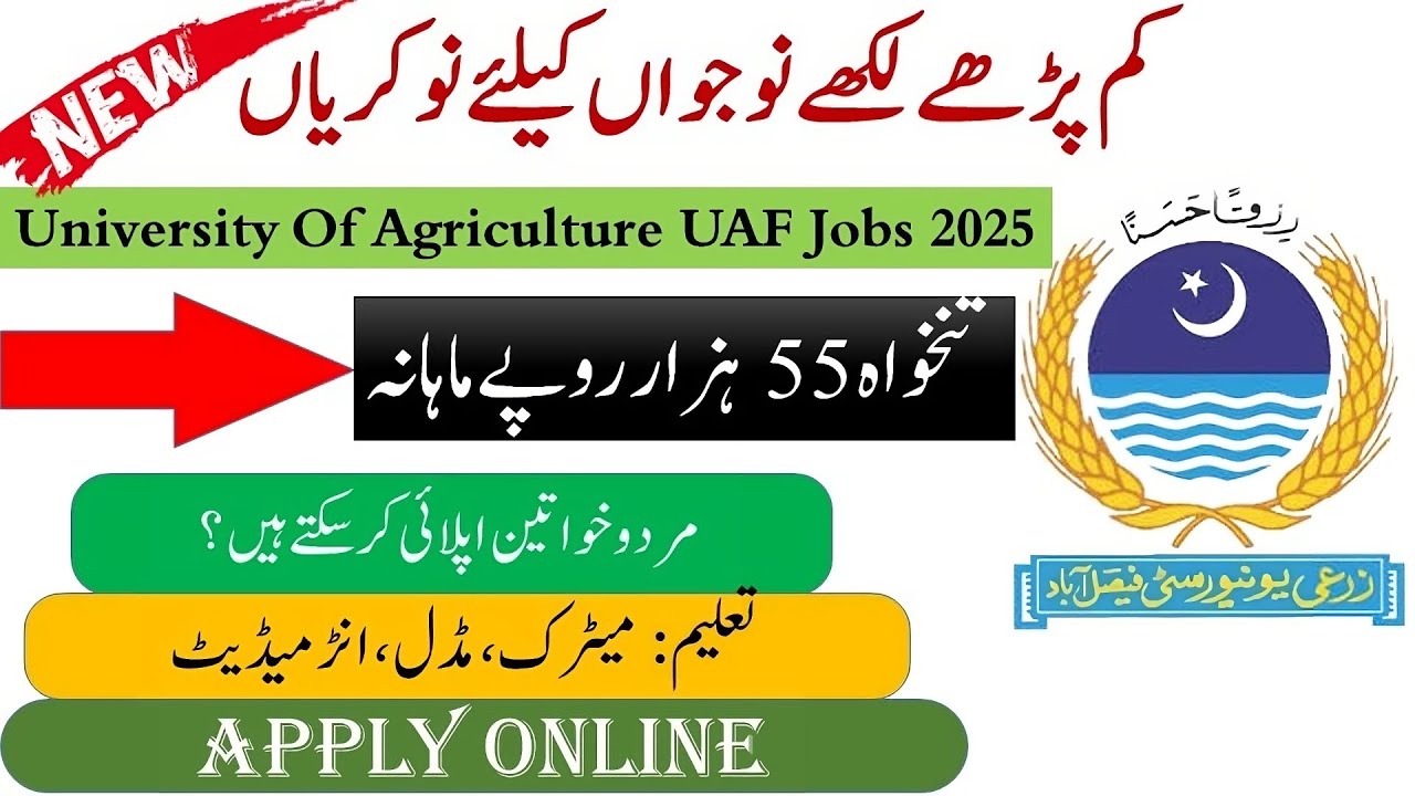 University Of Agriculture UAF Jobs 2025 | Pakistan Government job | UAF ...