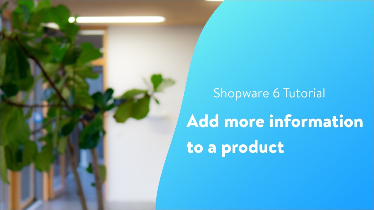 Add more information to a product (Shopware 6 Tutorial EN) - YouTube