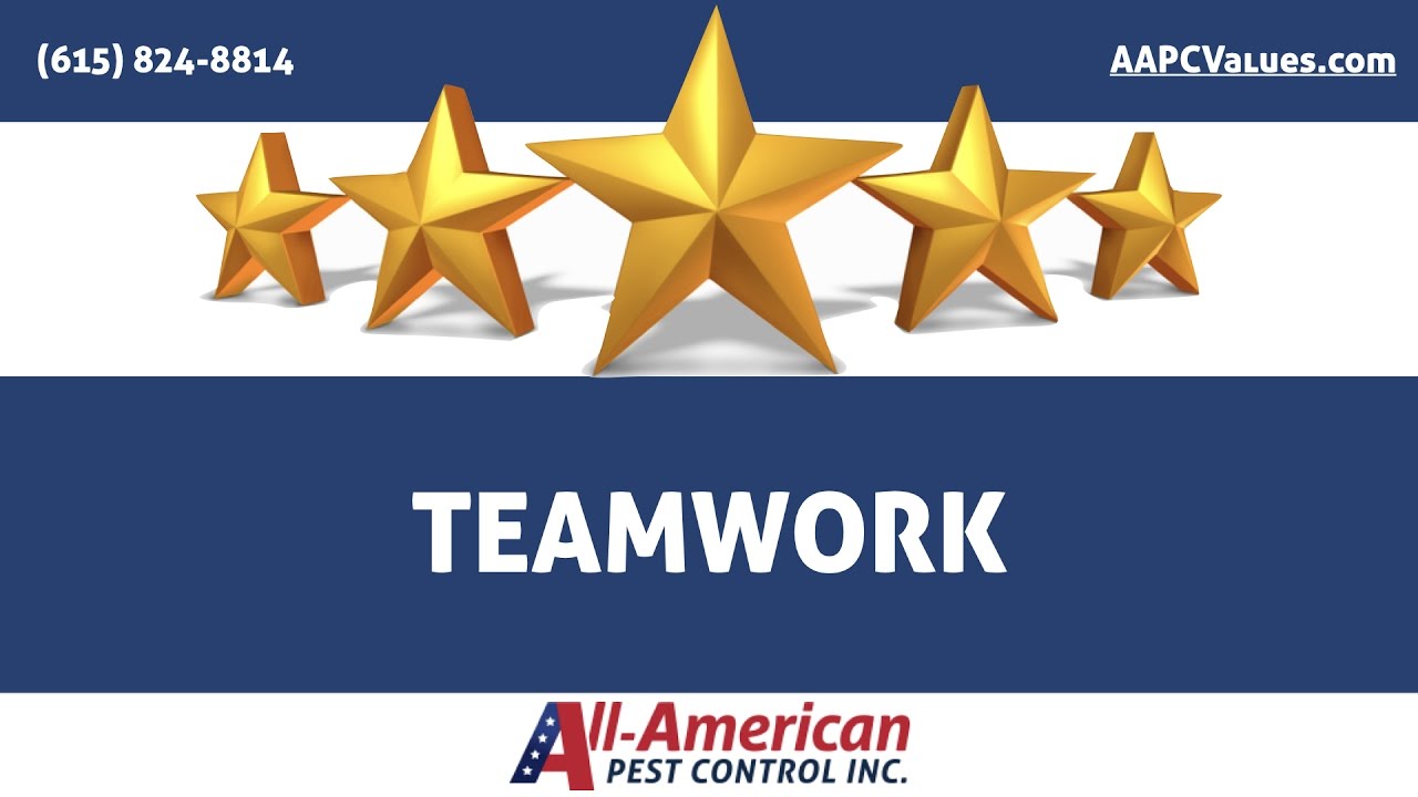 Our Core Values: Teamwork - YouTube