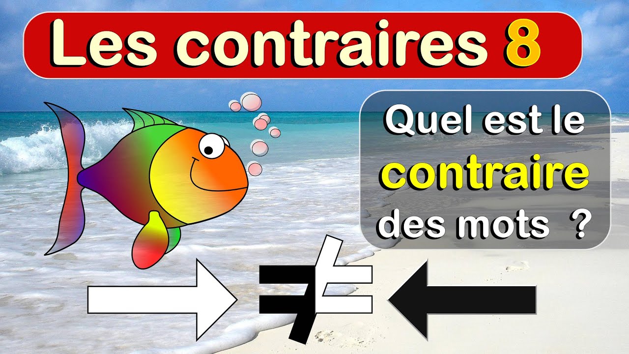 Les antonymes : le contraire des mots + Apprendre le vocabulaire ...
