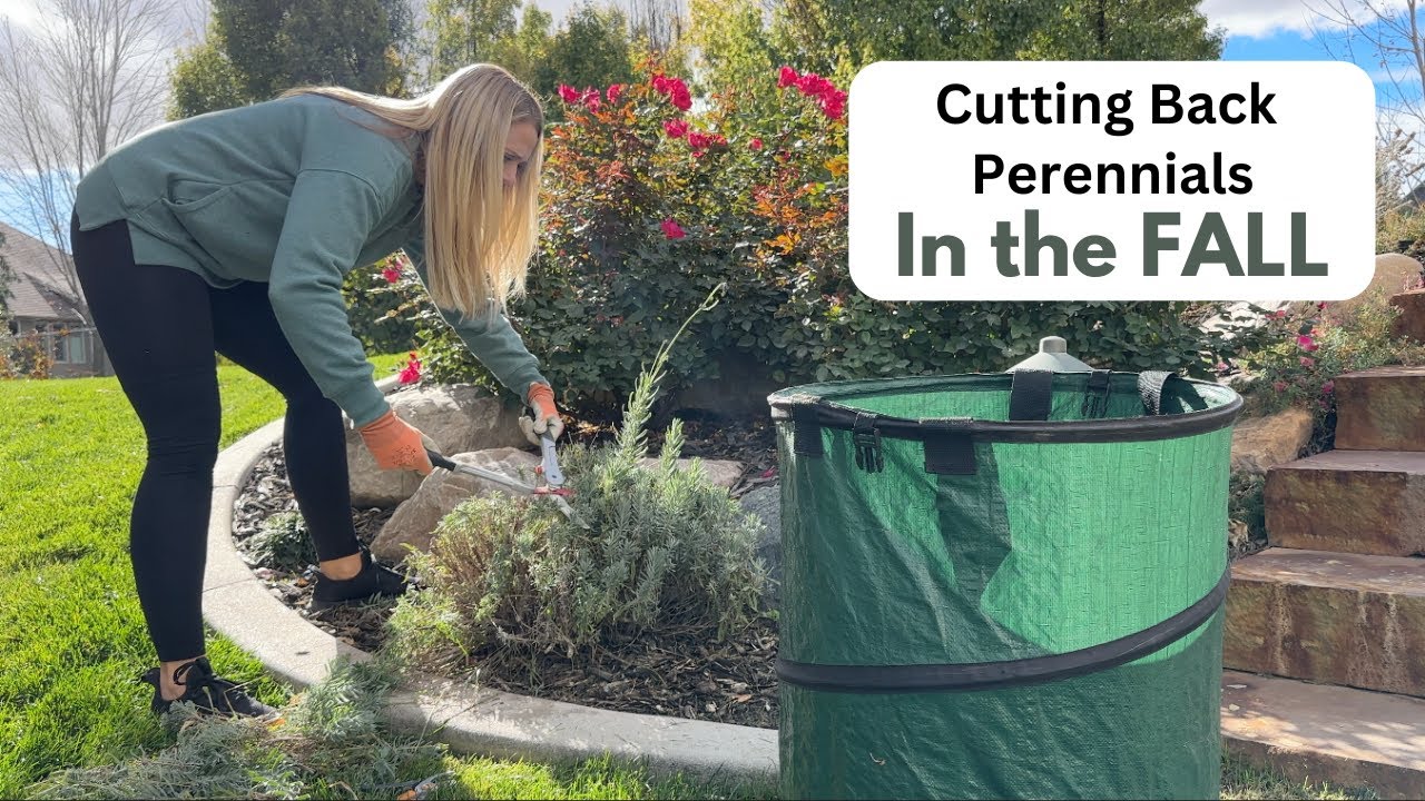 Cutting Back Perennials In the Fall 🍂- Peonies, Hostas, Lavender ...