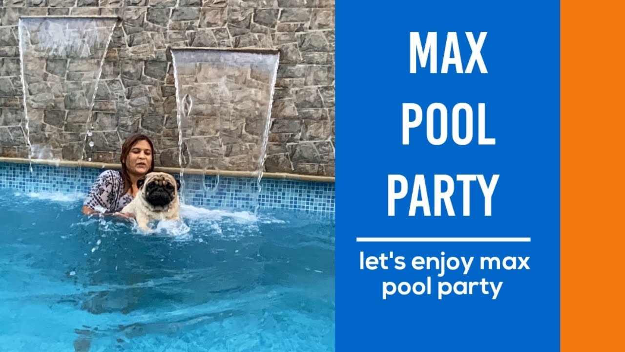 My Dog in Swimming Pool | Pug LOVES To Swim | Pug (Max) Pool Party ...