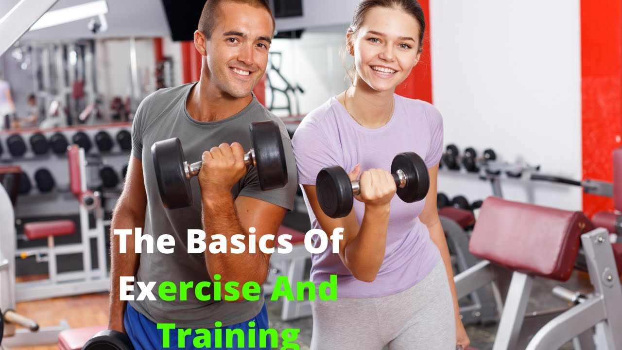 The Basics Of Exercise And Training || Different Main Types Of ...