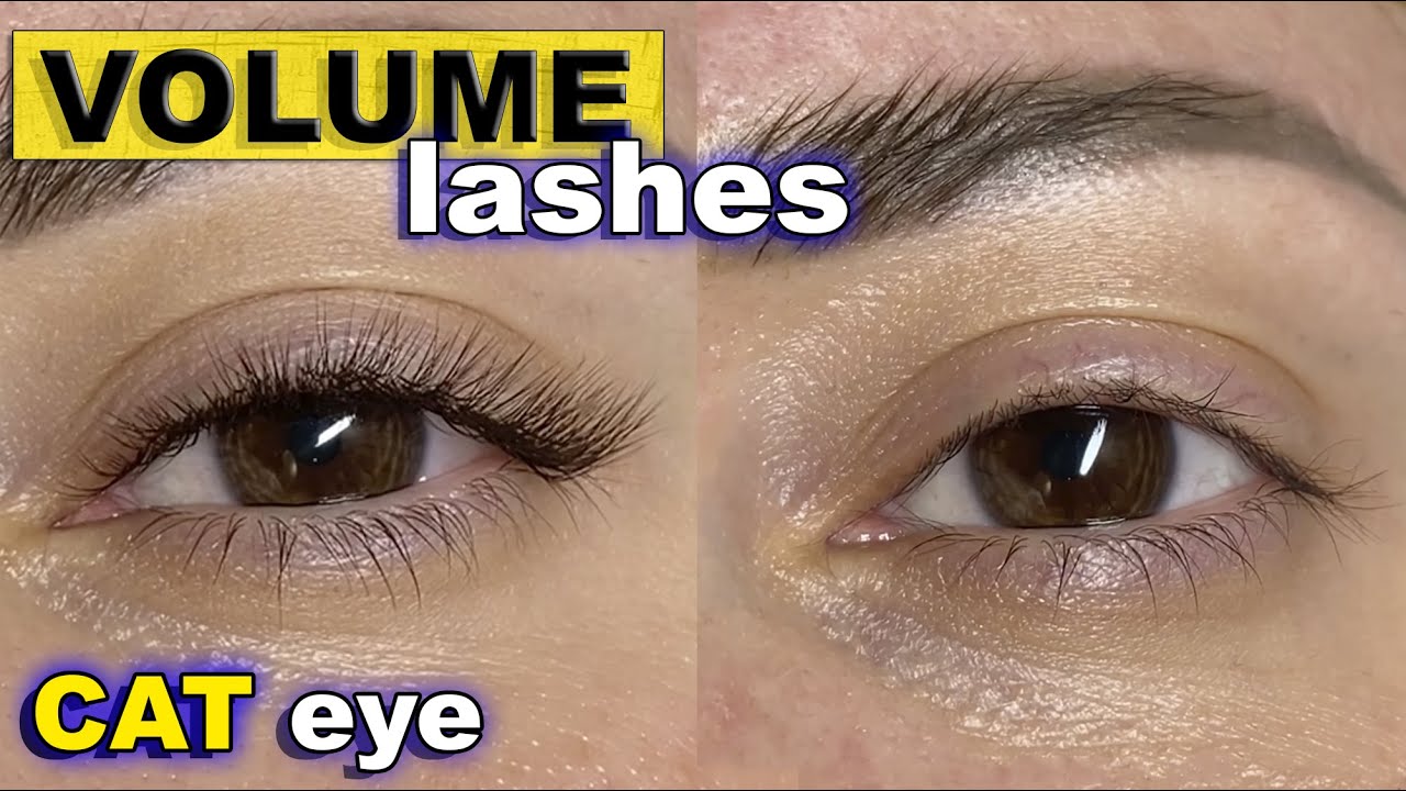 CAT EYE lash extensions / 2D volume with thin eyelashes 0.07 with L ...