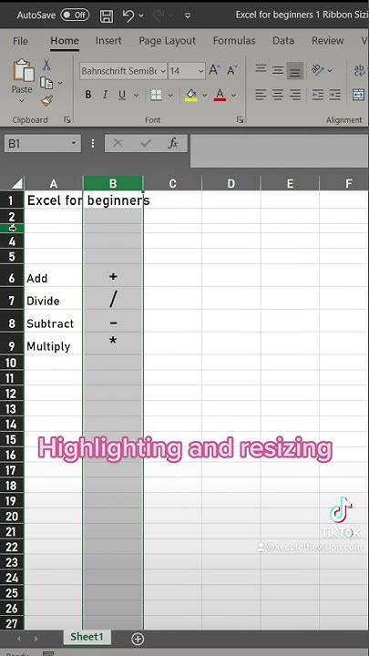 Excel for beginners 1: How to enter formulas, resize and highlight ...